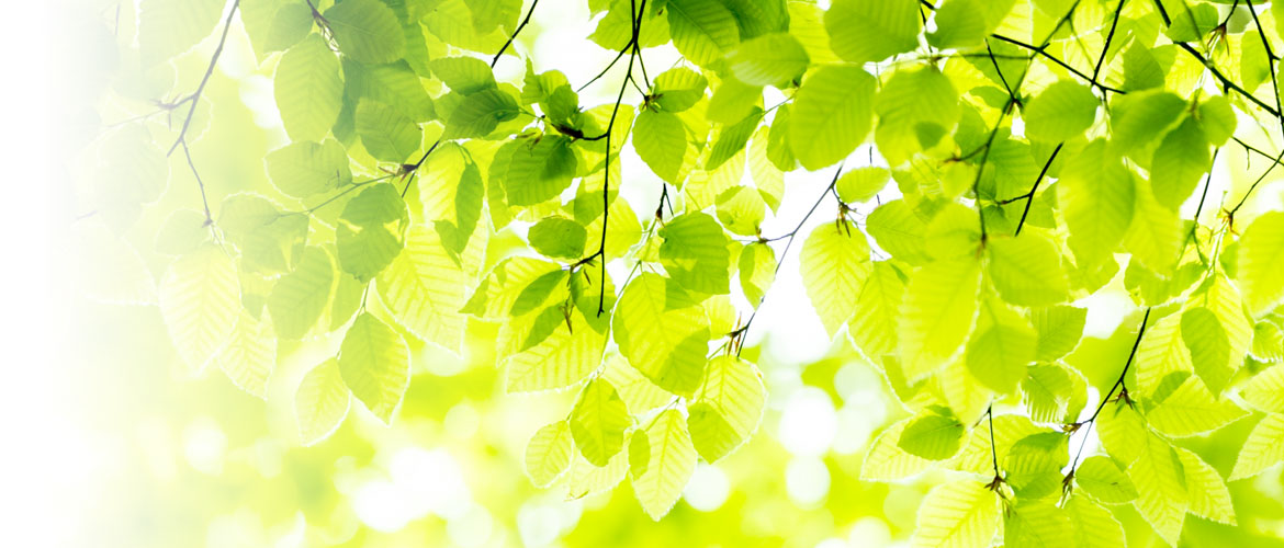 各種塗装,那須塩原市｜小野岡塗装株式会社